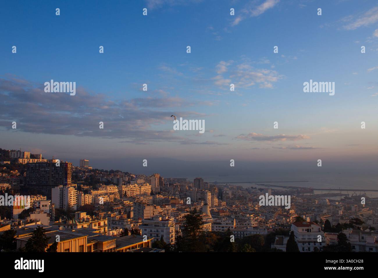Panorama sur la baie d'Alger au lever du soleil Stock Photo - Alamy