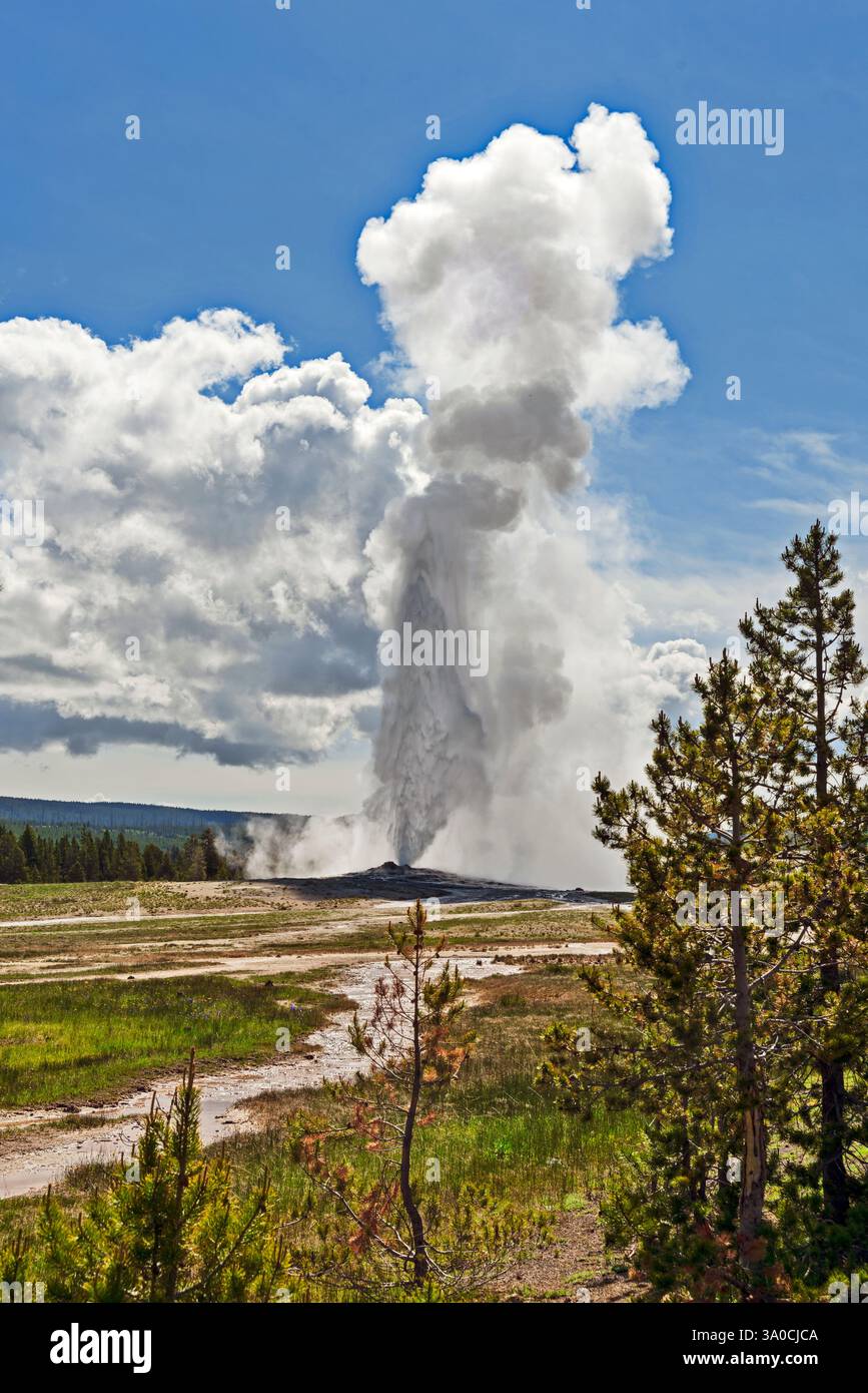 Old Faithful Geyser, famous geyser throughout the world.; Yellowstone ...