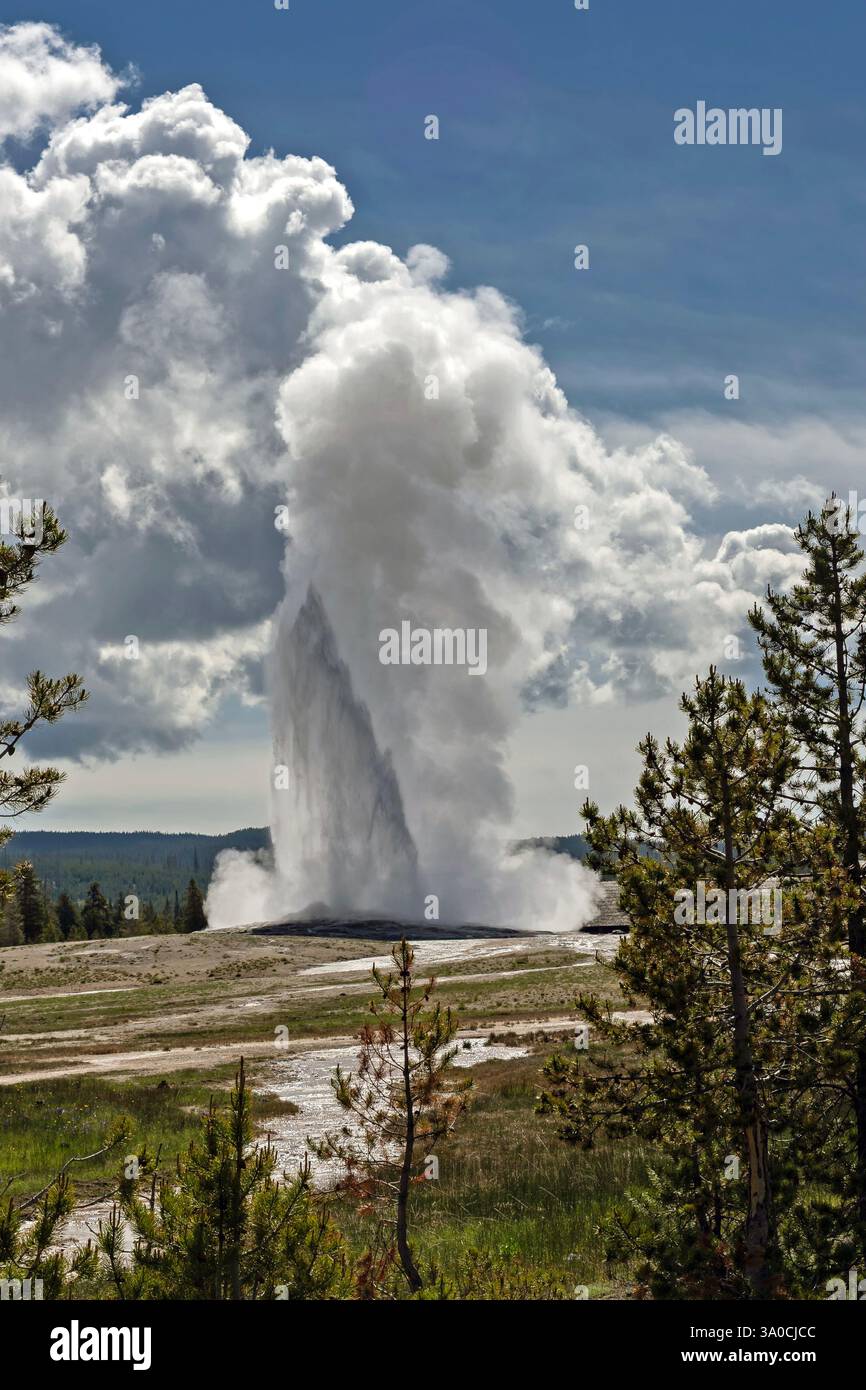 Old Faithful Geyser, famous geyser throughout the world.; Yellowstone ...
