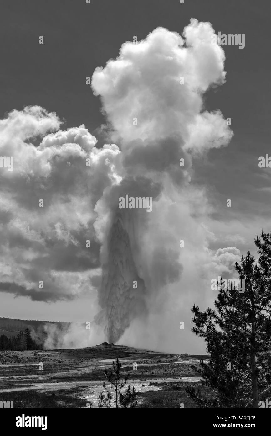 Old Faithful Geyser, famous geyser throughout the world.; Yellowstone ...