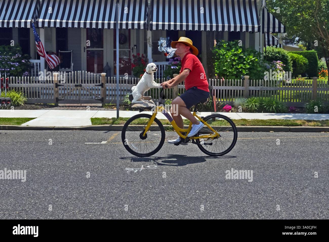 Man and dog riding bicycle, USA Stock Photo - Alamy