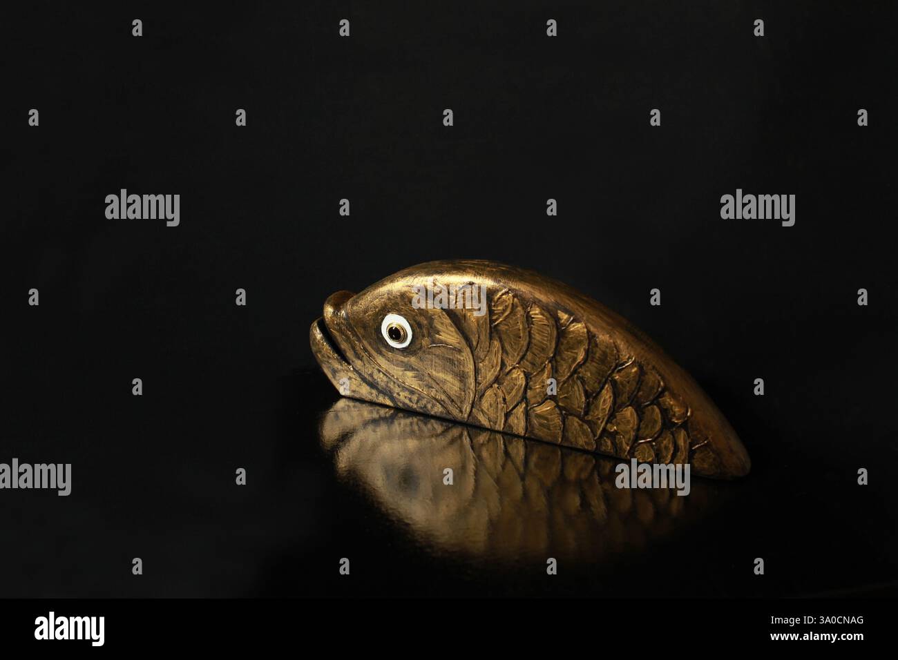 Goldfish, golden reflection, black background, symbol of luck Stock ...