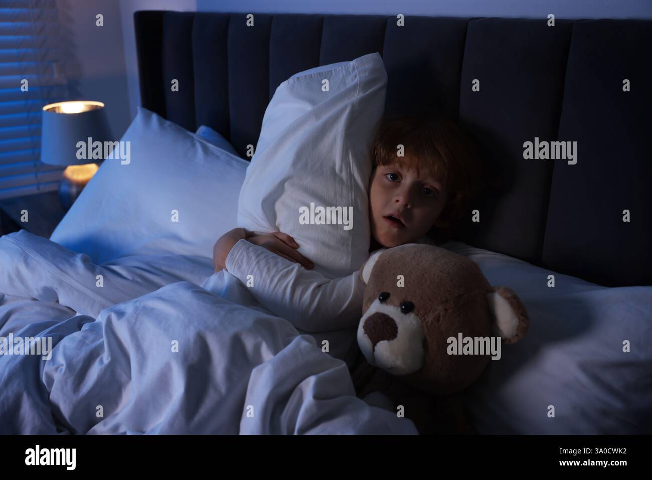 Scared boy teddy bear hi-res stock photography and images - Alamy