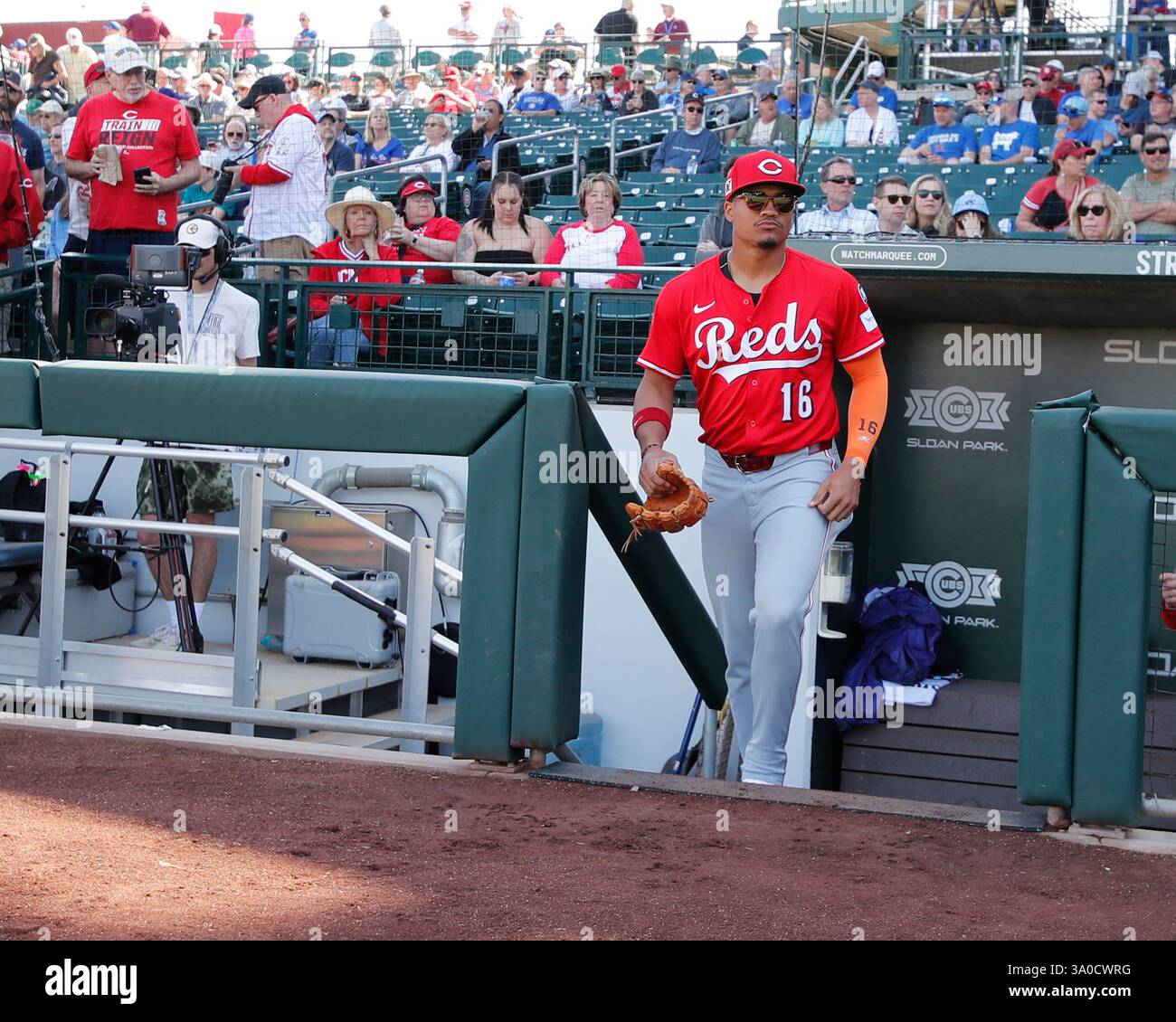 March 2, 2025: Cincinnati Reds third base Noelvi Marte (16) coming out ...