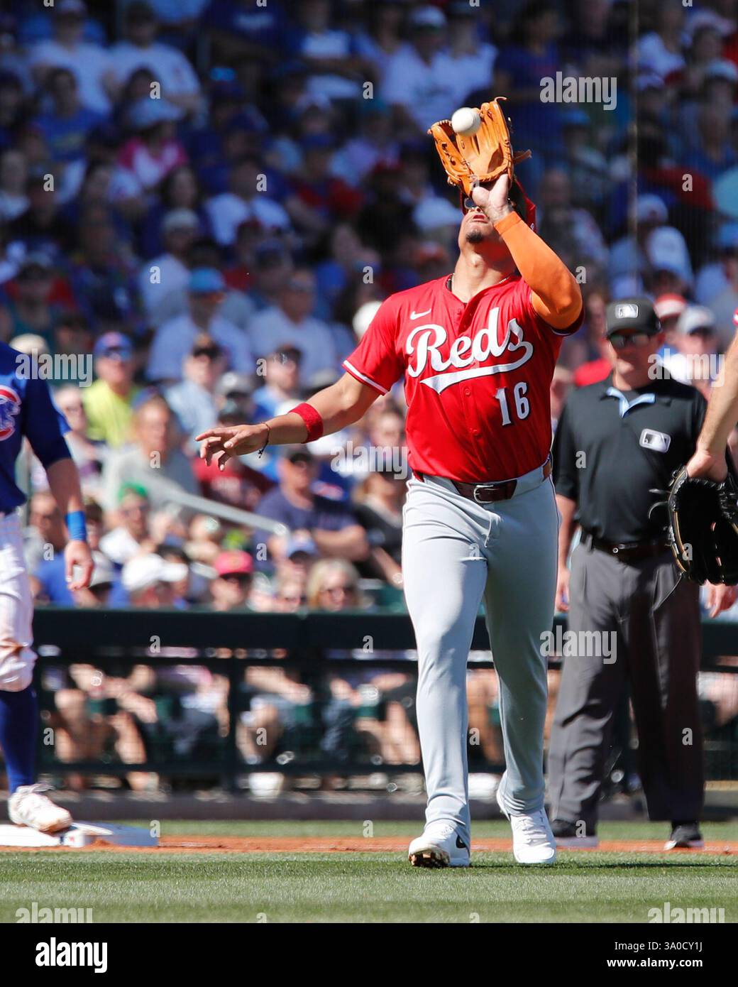 Mesa, Arizona, USA. 2nd Mar, 2025. Cincinnati Reds third base Noelvi ...