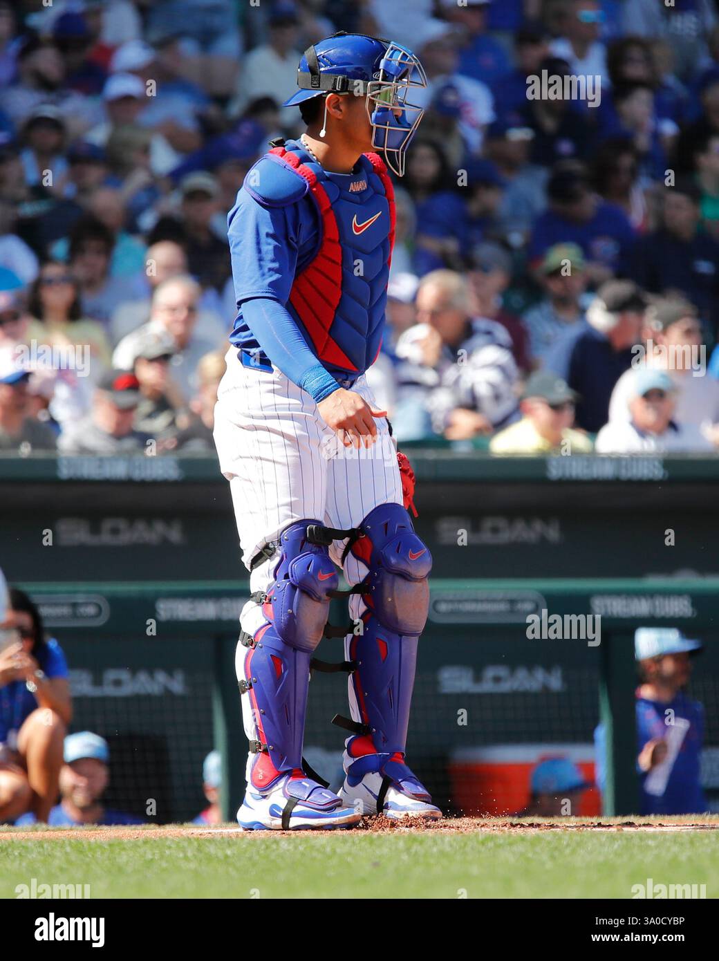 Mesa, Arizona, USA. 2nd Mar, 2025. Chicago Cubs catcher Miguel Amaya (9 ...