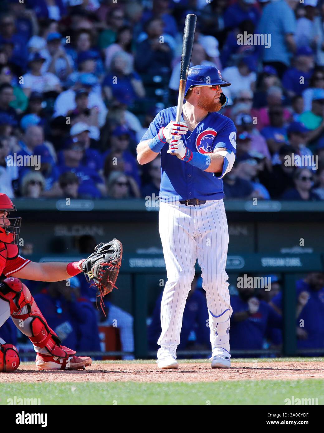 March 2, 2025: Chicago Cubs first base Justin Turner (3) at bat in the ...