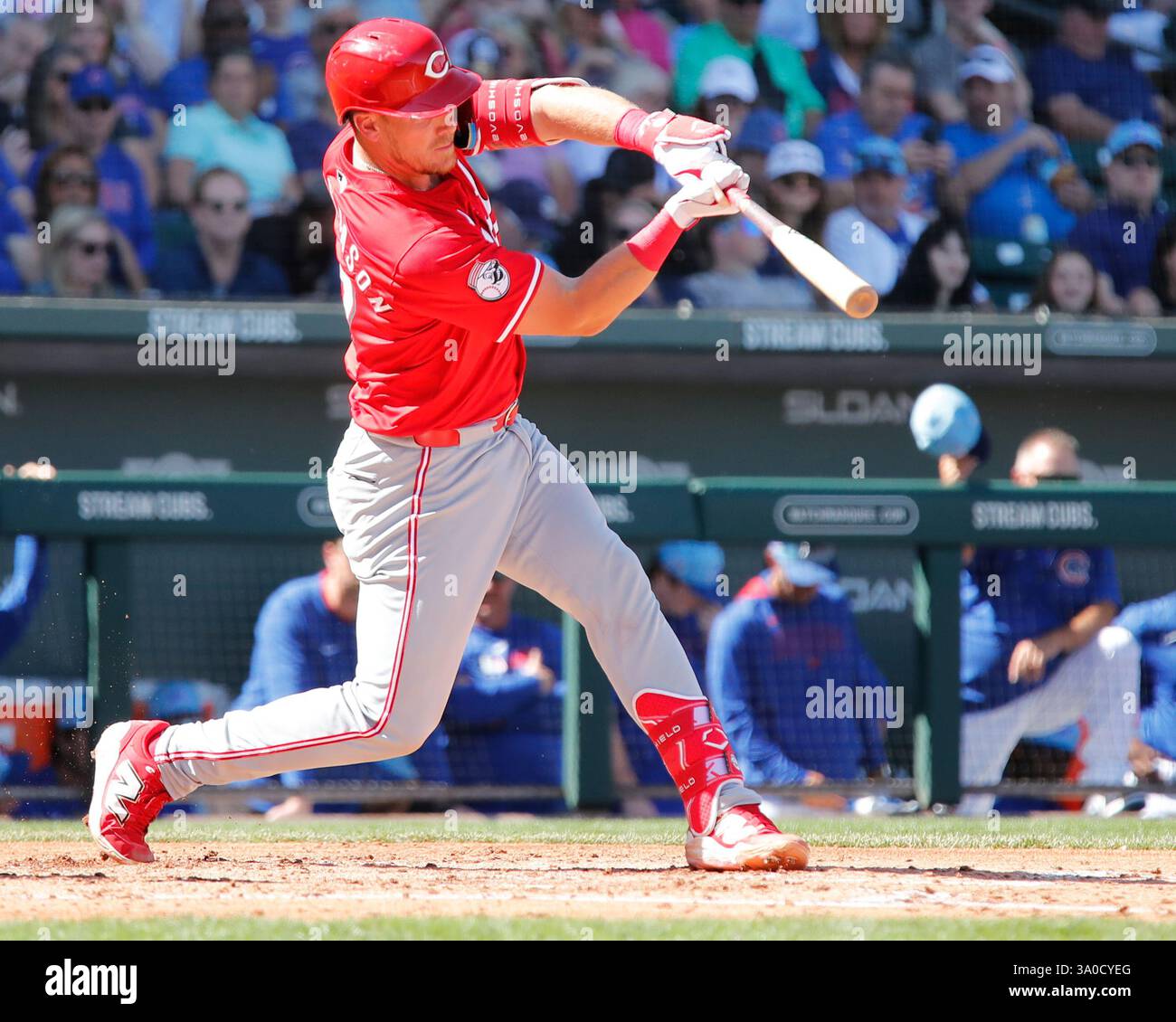Mesa, Arizona, USA. 2nd Mar, 2025. cactus leage spring training game ...
