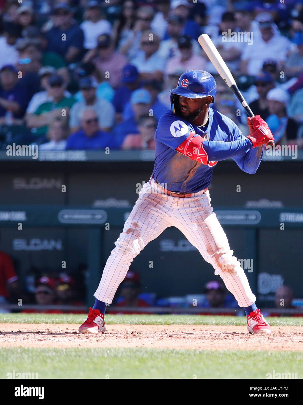 Mesa, Arizona, USA. 2nd Mar, 2025. Chicago Cubs shortstop Vidal BrujÃ¡n ...
