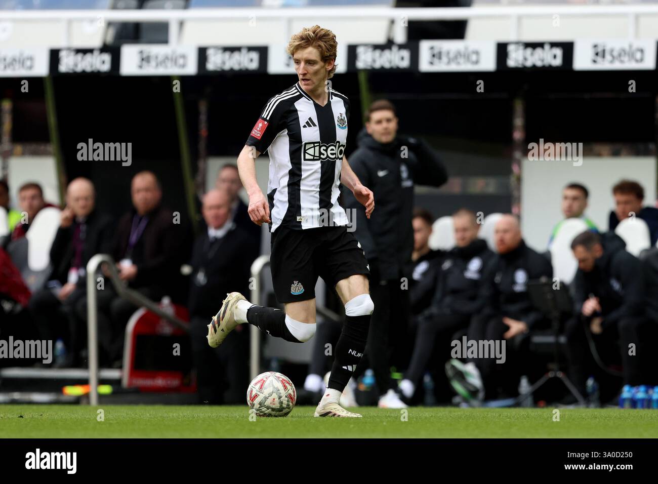 Newcastle United's Anthony Gordon in action during the Emirates FA Cup ...