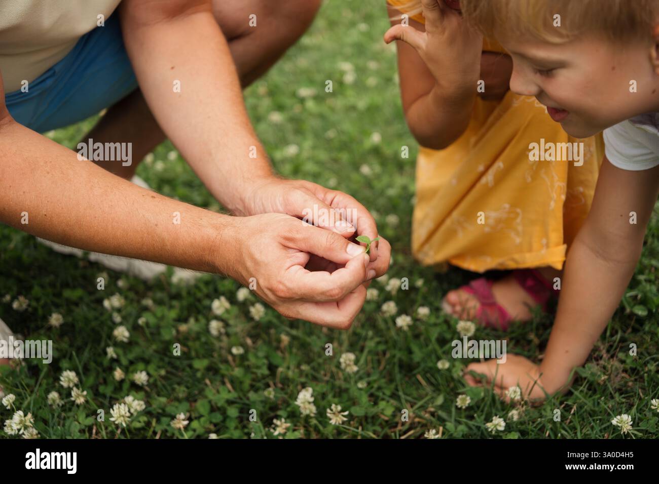 Child and adult examining clover in a green field Stock Photo - Alamy