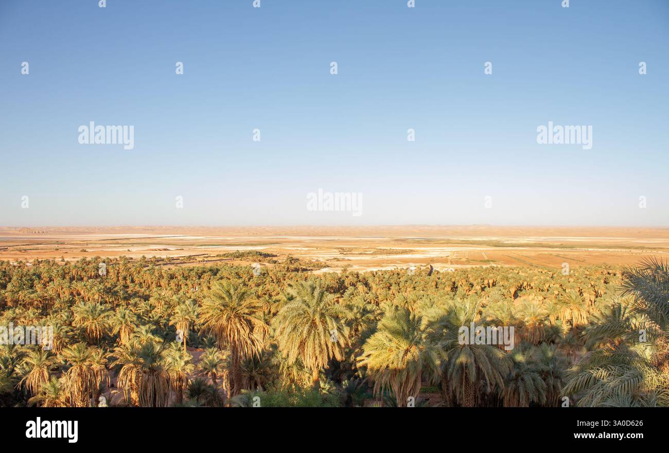Timimoun Palm Grove From Gourara Hotel Stock Photo - Alamy