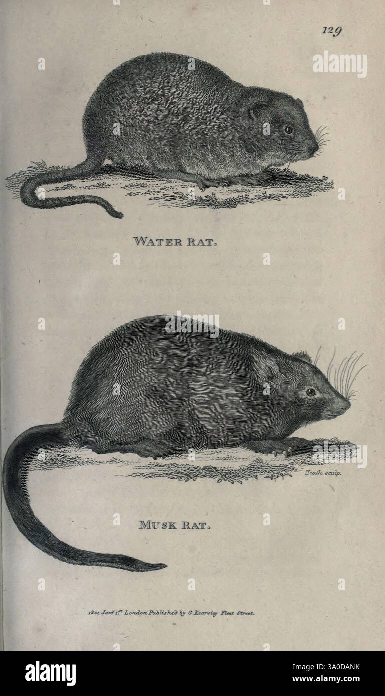 General zoology, Systematic natural history, London, Printed for G ...