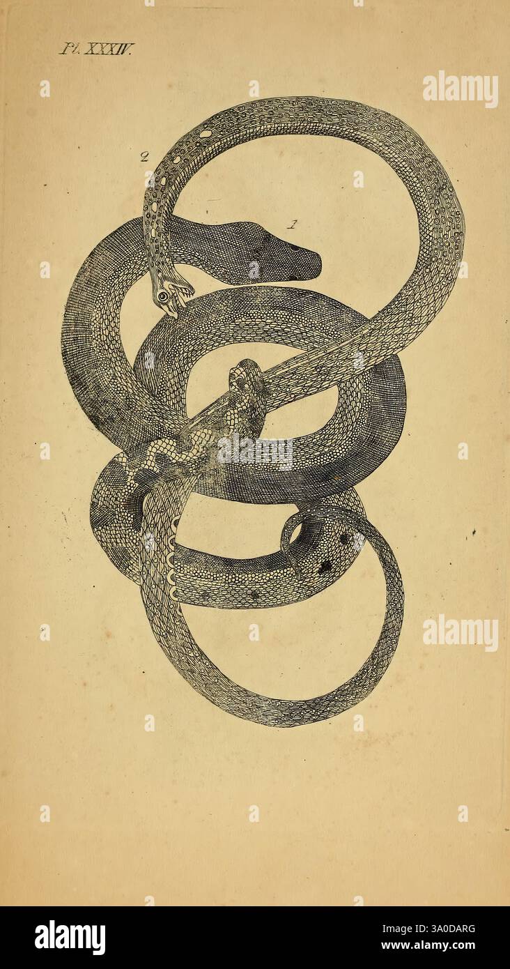 Creates pictorial tension hi-res stock photography and images - Alamy