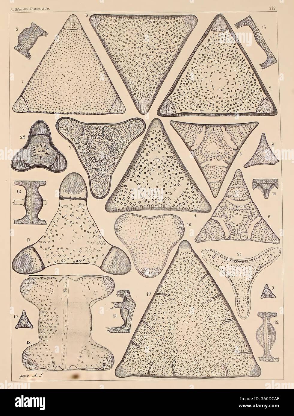 Variety of intricate geometric shapes hi-res stock photography and ...