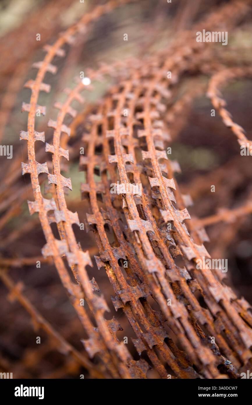Detail abstract view of old rusty coiled rolls of steel razor wire ...