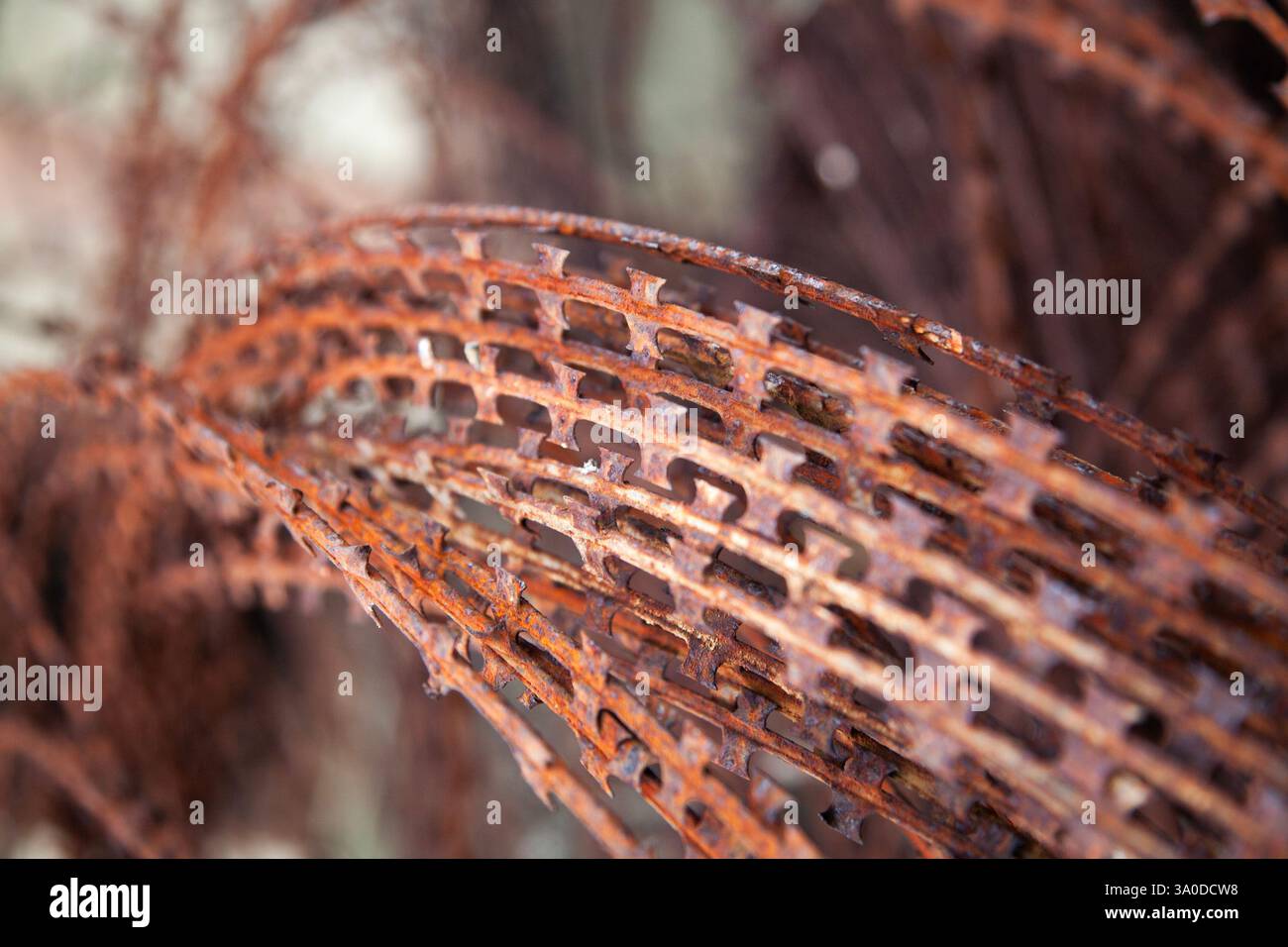 Detail abstract view of old rusty coiled rolls of steel razor wire ...