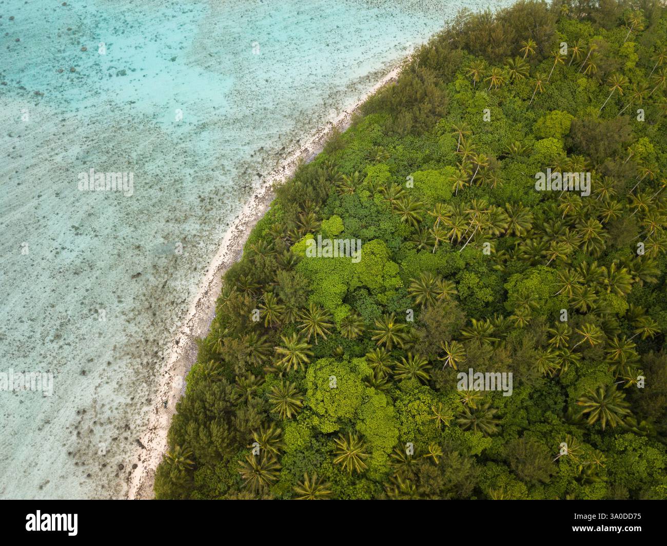 Looking down on an aqua colored lagoon and tropical foliage on as South ...