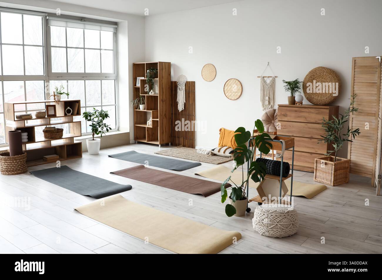 Interior of light yoga studio with mats, plants and shelf units Stock ...