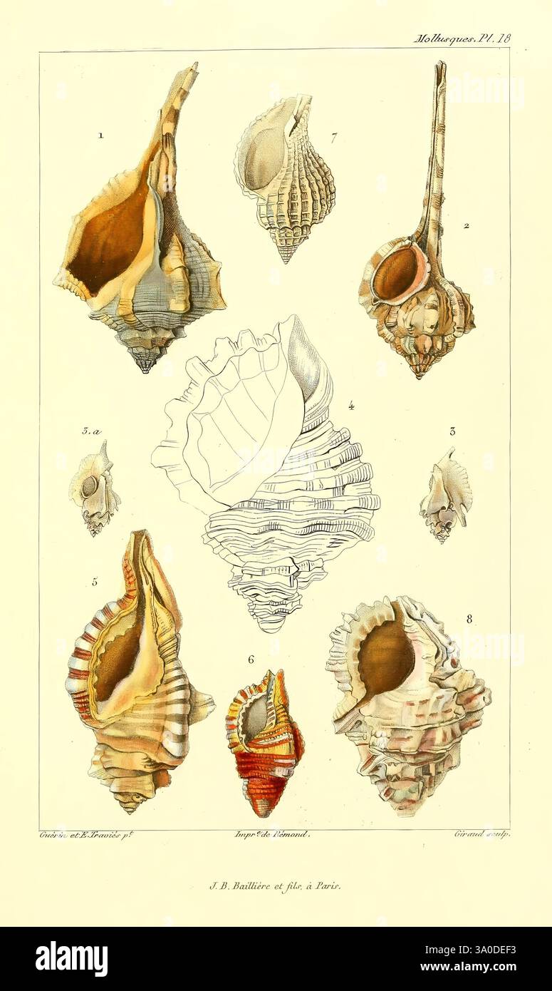 Exhibit unique ridges hi-res stock photography and images - Alamy