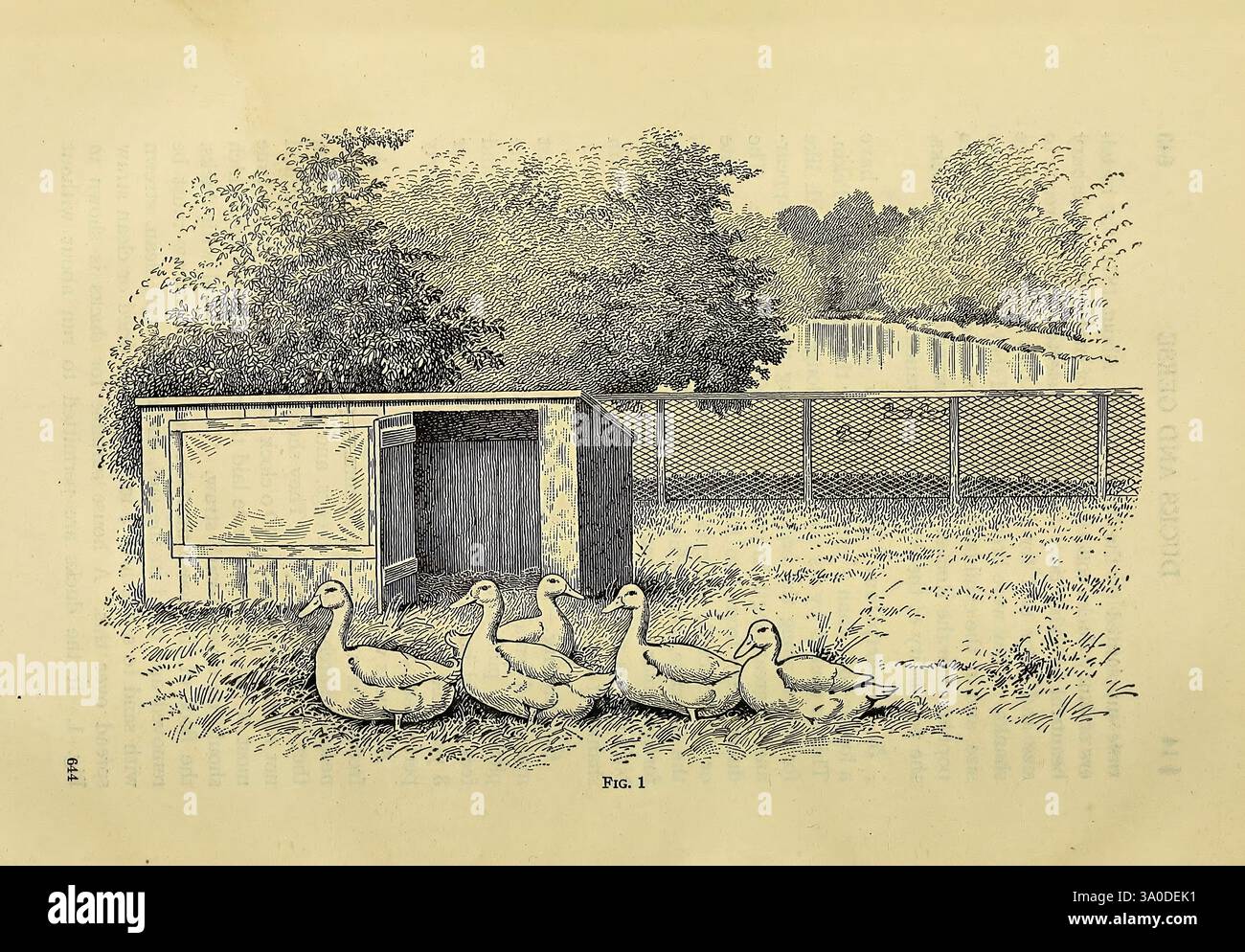 Backgr simple hi-res stock photography and images - Alamy