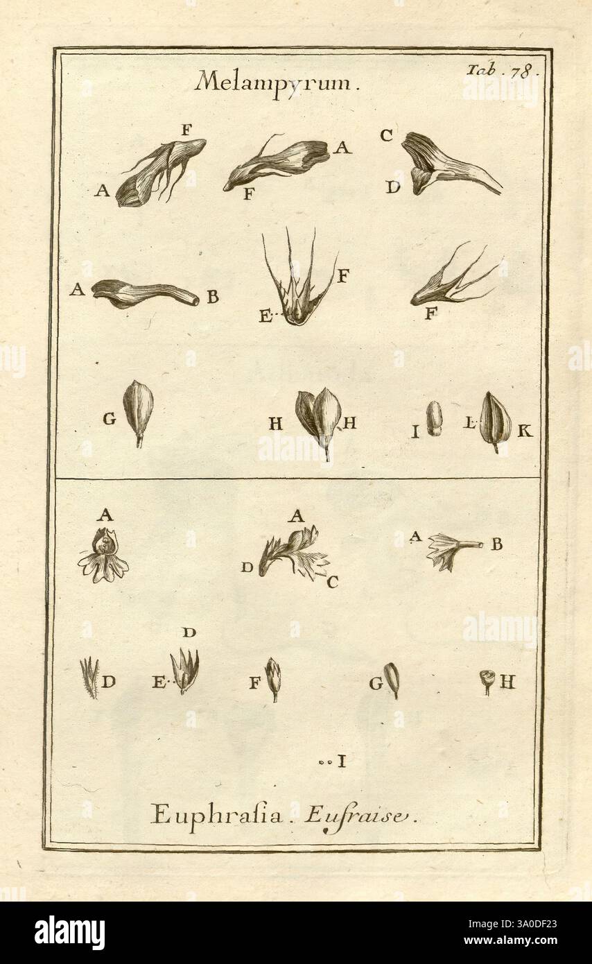 Concise visual reference hi-res stock photography and images - Alamy