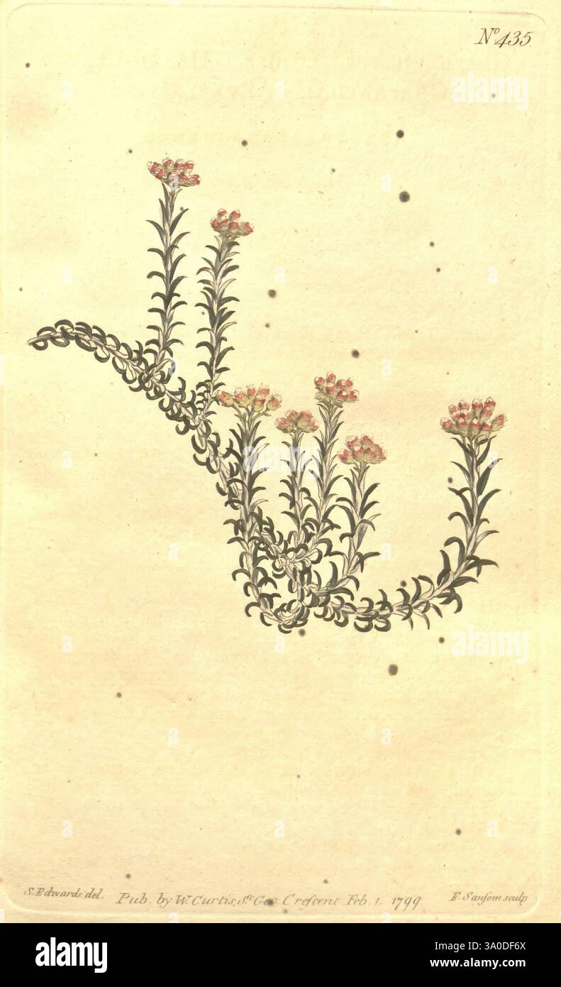 The Botanical Magazine, or Flower-garden Displayed, 1790-1800, botany ...