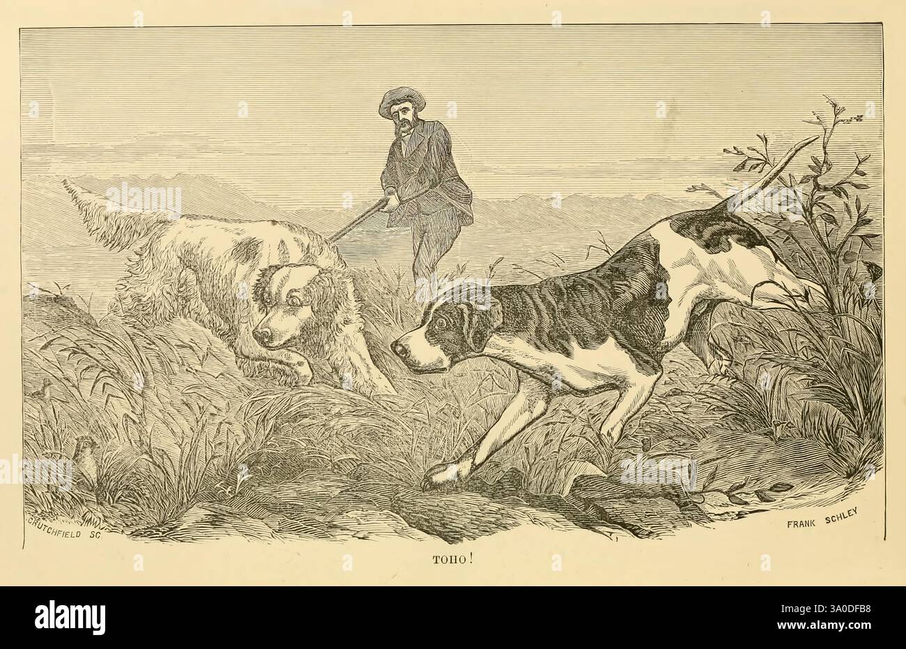 Guiding two dogs hi-res stock photography and images - Alamy