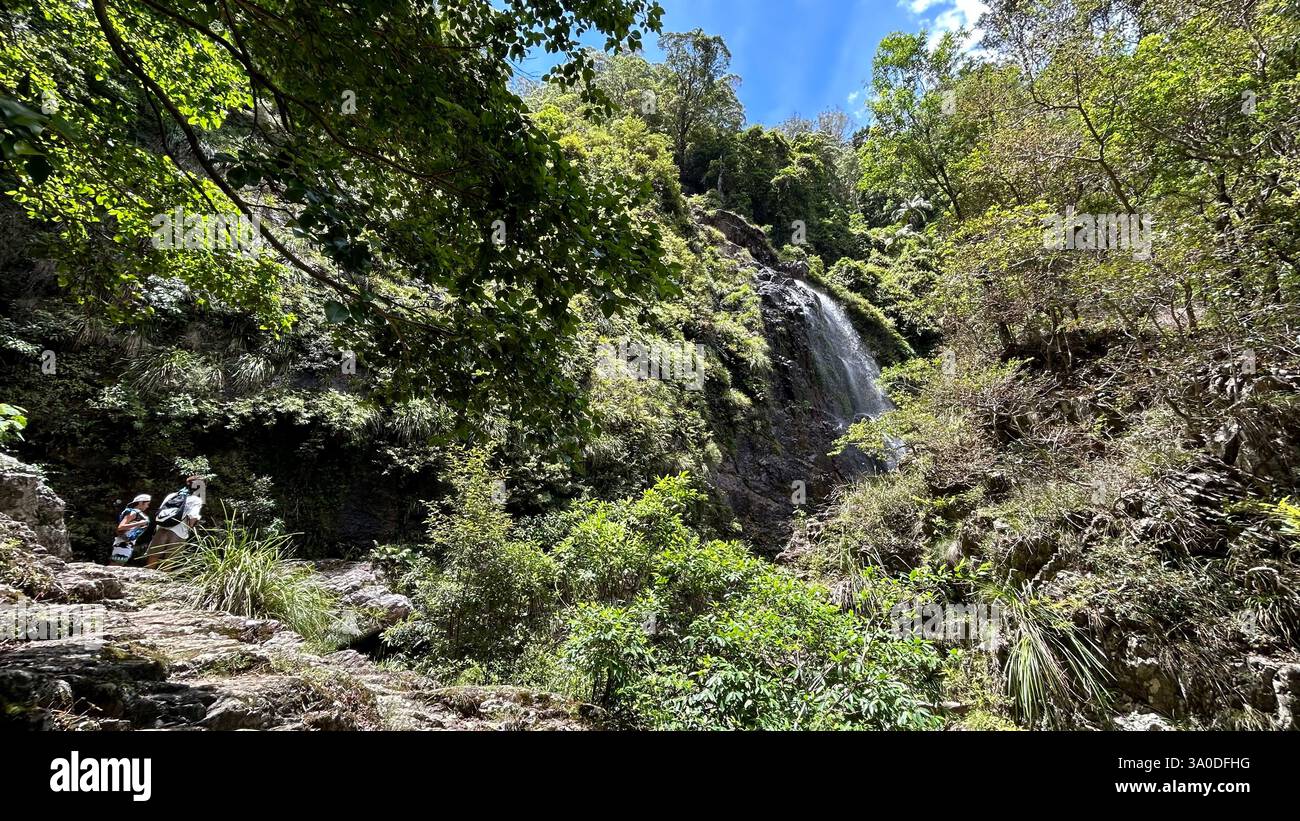 waterfall way, nsw Stock Photo - Alamy
