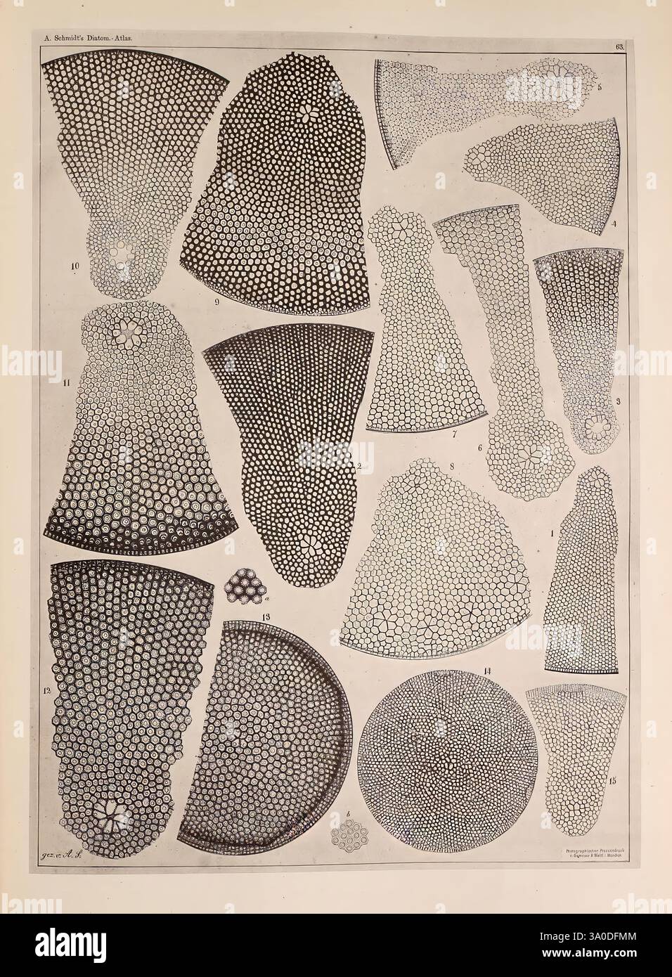 Interconnected circular designs hi-res stock photography and images - Alamy