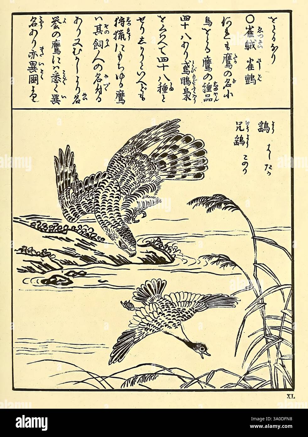 Elegant japanese characters adorn hi-res stock photography and images ...