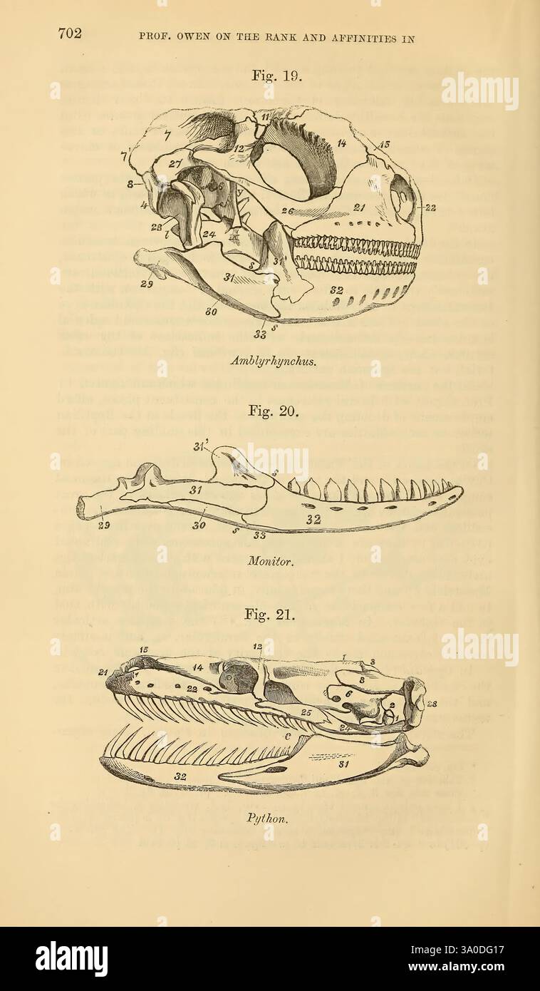The Quarterly Journal of the Geological Society of London, v. 33 (1877 ...