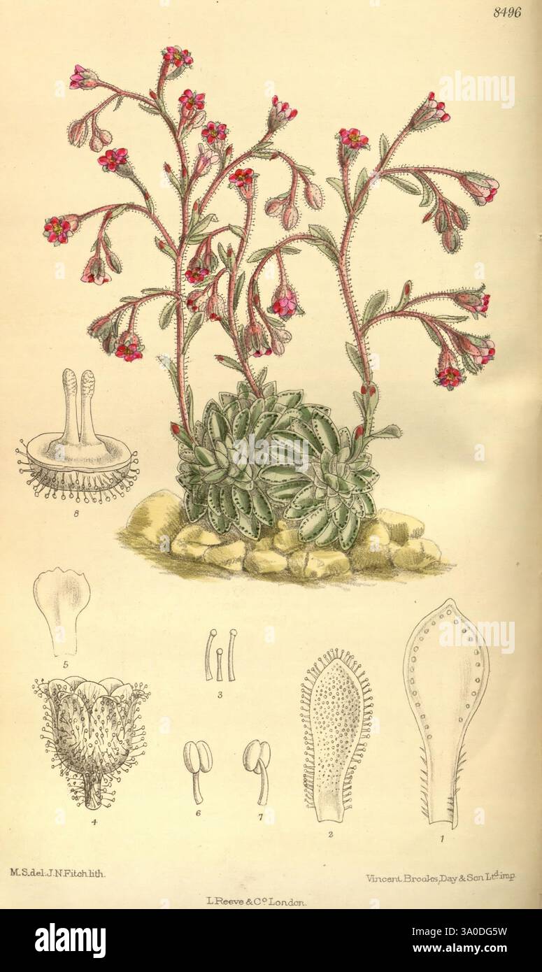 Detailed drawings showcase various parts hi-res stock photography and ...