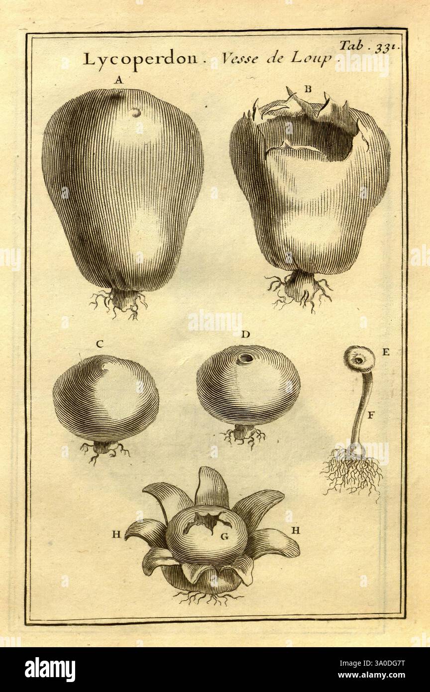 Four additional forms hi-res stock photography and images - Alamy