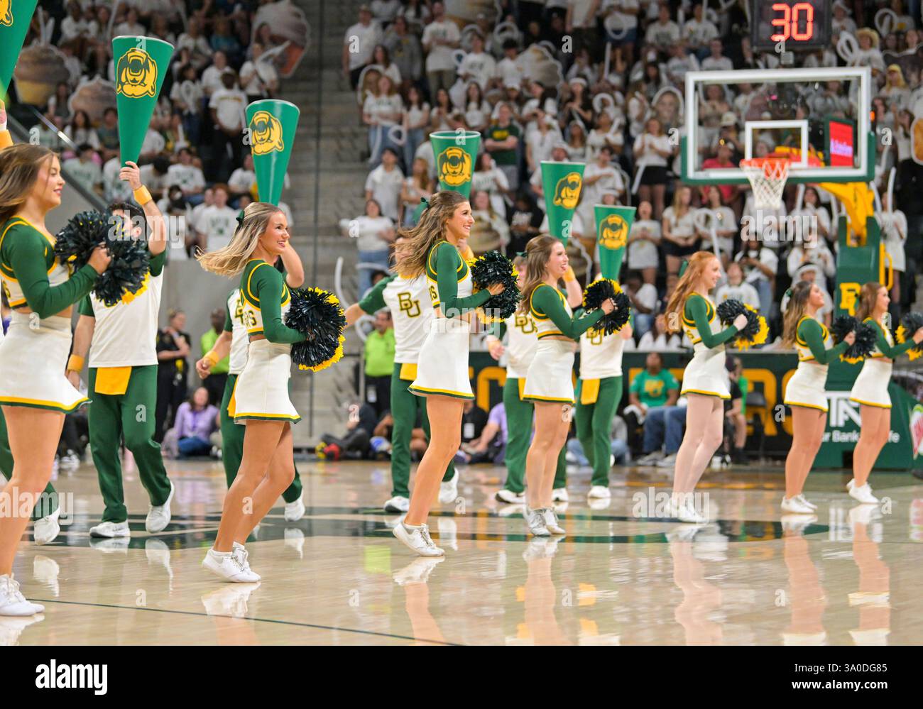 March 2, 2025: Baylor Lady Bears cheerleaders during the 2nd half of ...