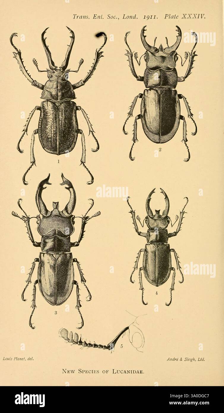 Transactions of the Entomological Society of London London The Society ...