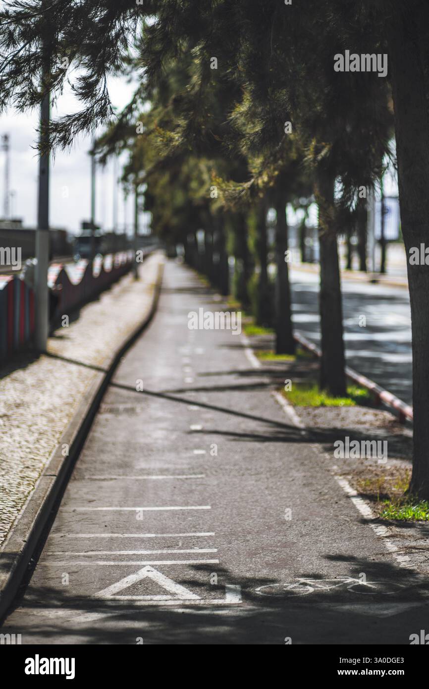 A dedicated bicycle lane stretches into the distance, lined with lush ...