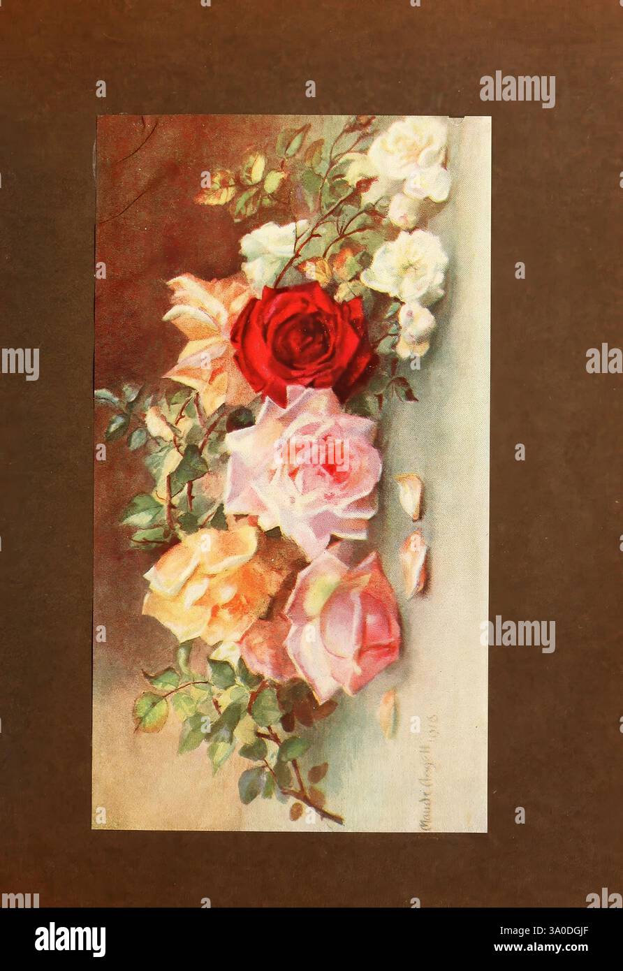 Amidst soft shades of pink hi-res stock photography and images - Alamy