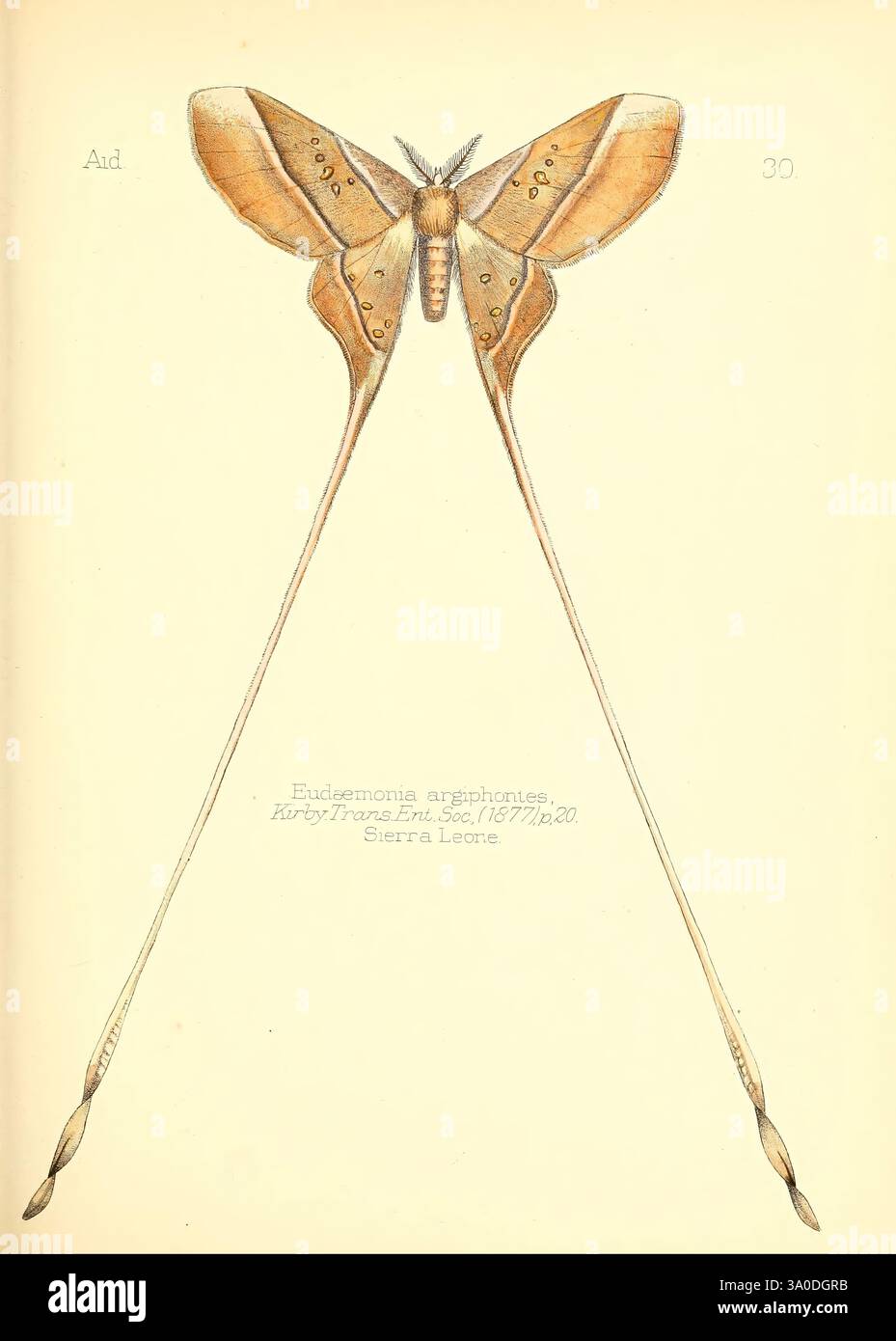 Subtle variations in shade enhance hi-res stock photography and images ...