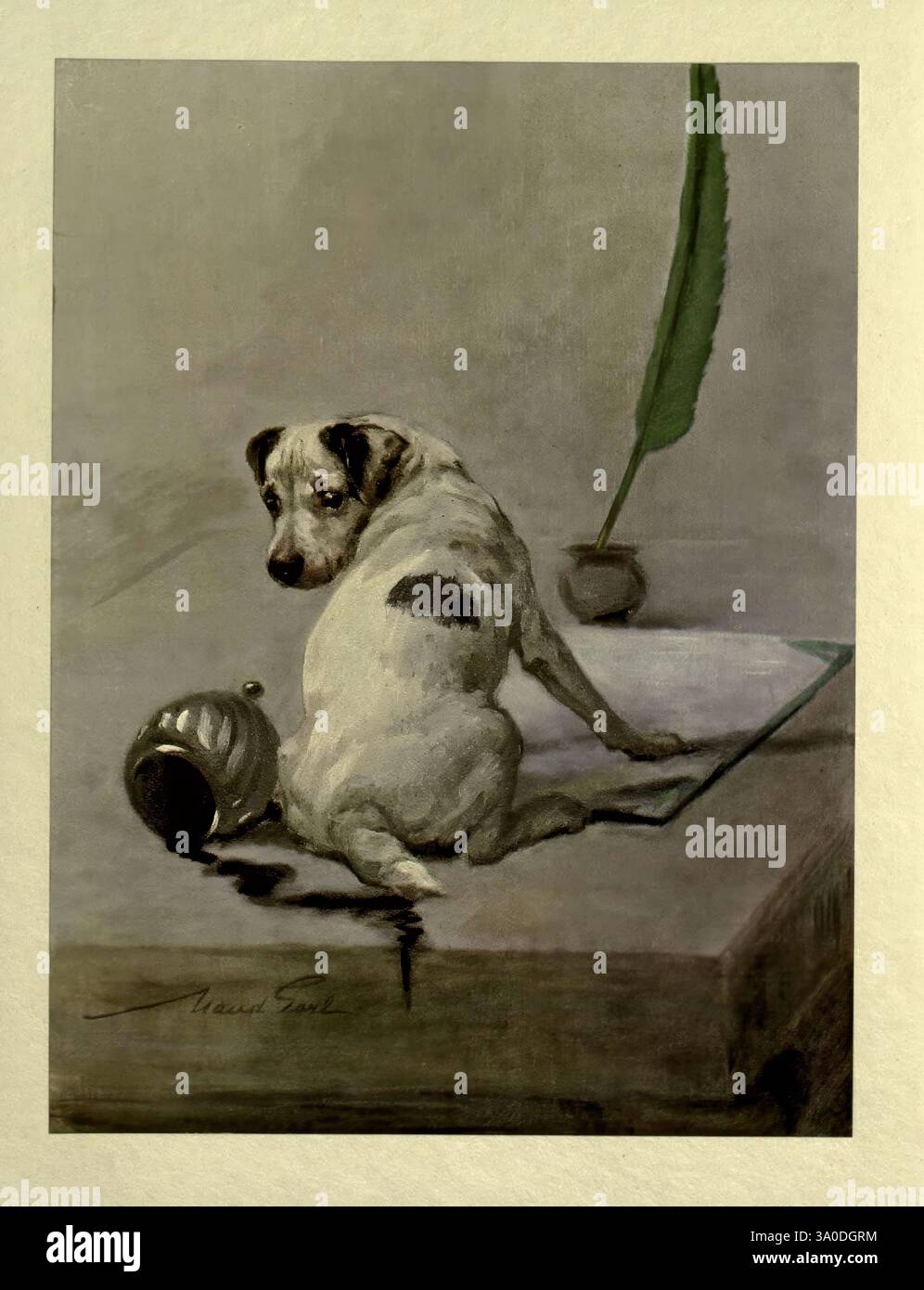 Dog breeds dogs pictures illustrations taxonomy hi-res stock ...