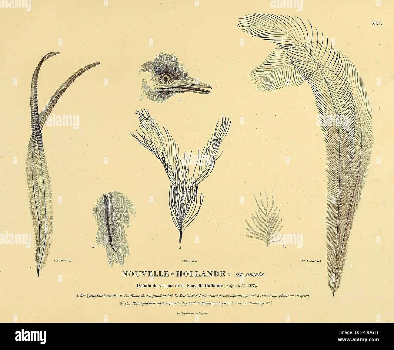 Voyage de découvertes aux terres australes, Paris, De l'Imprimerie ...