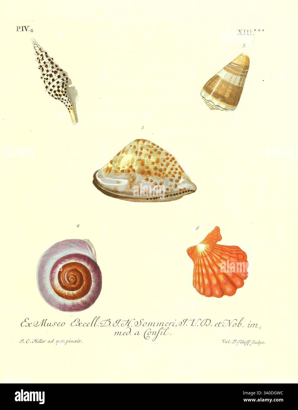 Les delices des yeux et de l'esprit, ou, Collection generale des ...