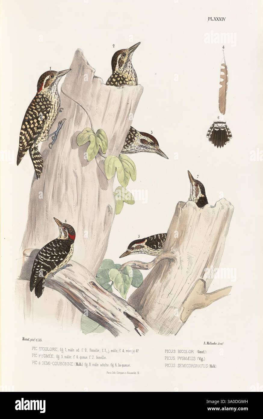 Engaged in various poses hi-res stock photography and images - Alamy