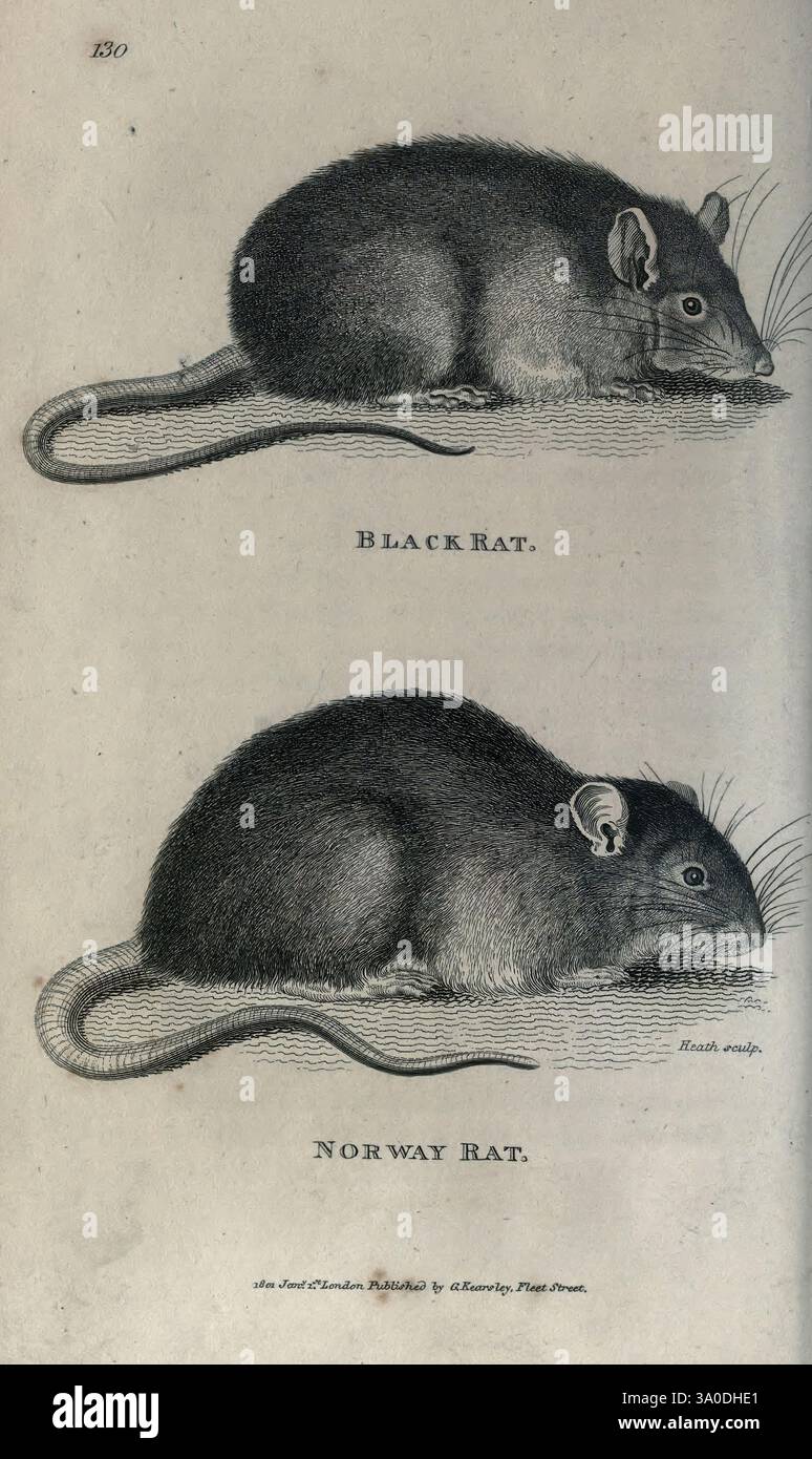 General zoology, Systematic natural history, London, Printed for G ...