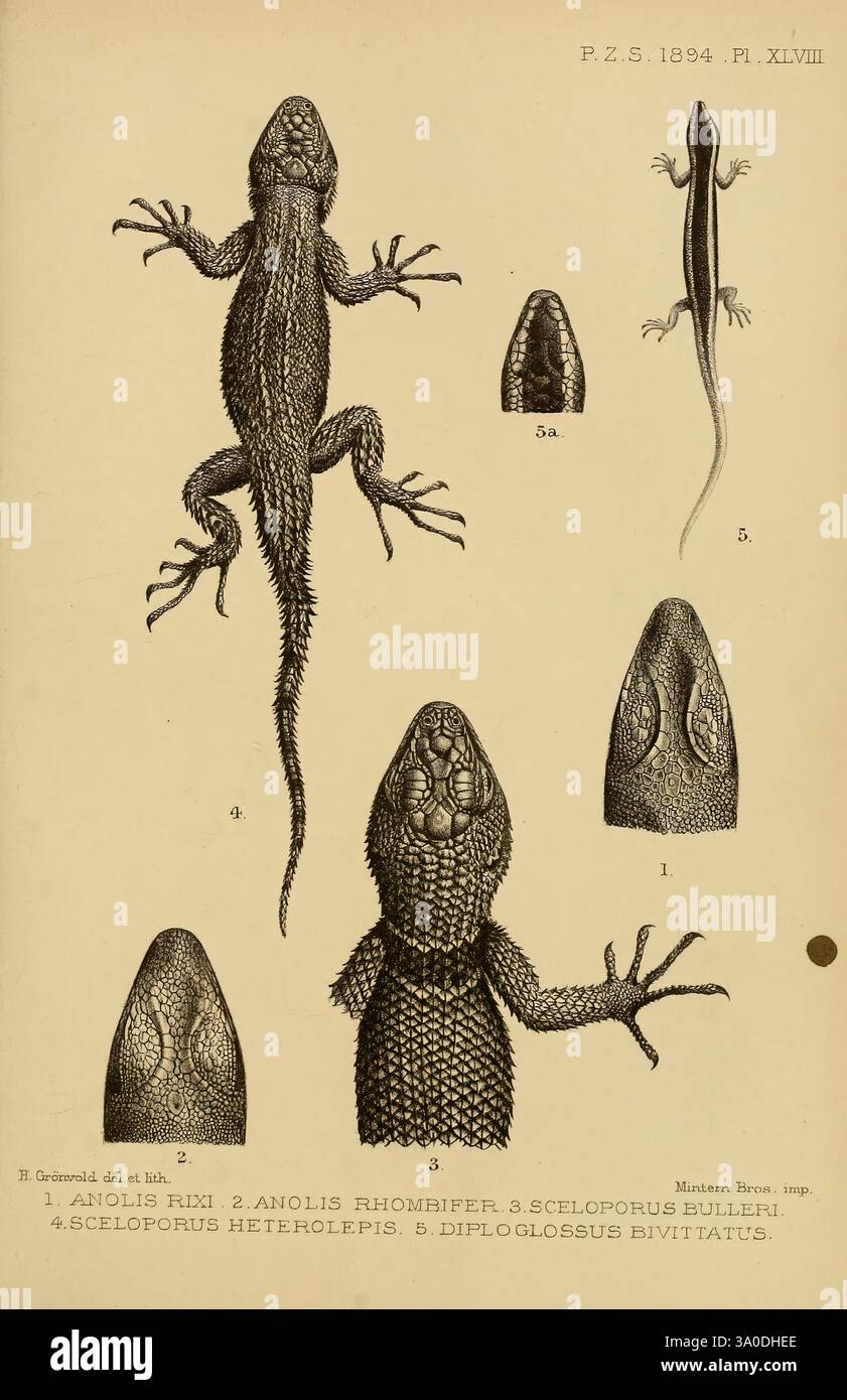 Form recognizable patterns hi-res stock photography and images - Alamy