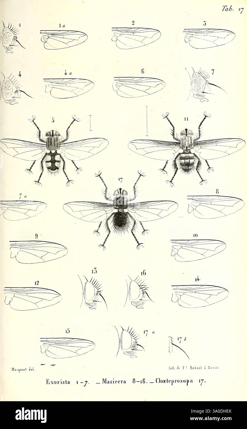 Peu connus paris hi-res stock photography and images - Alamy