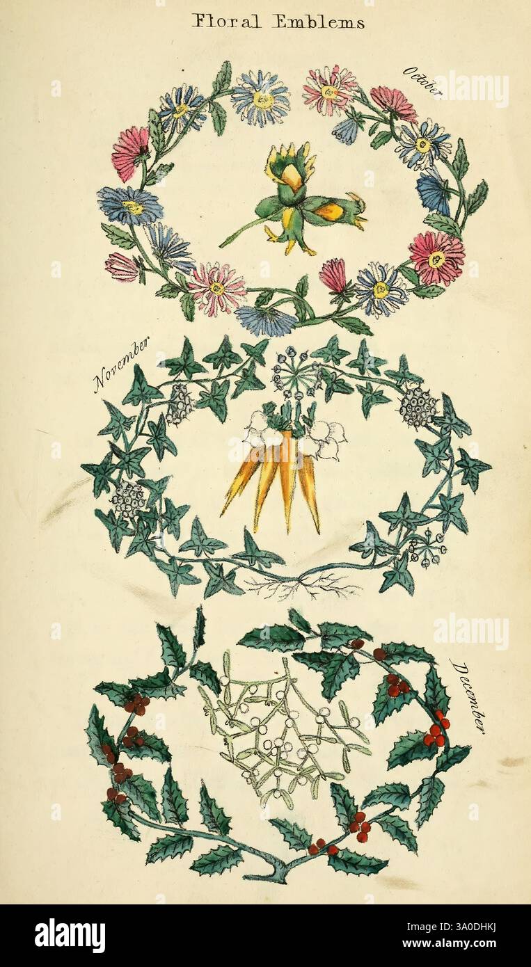Floral, emblems, London, Saunders and Otley, 1825, emblems, allegorical ...