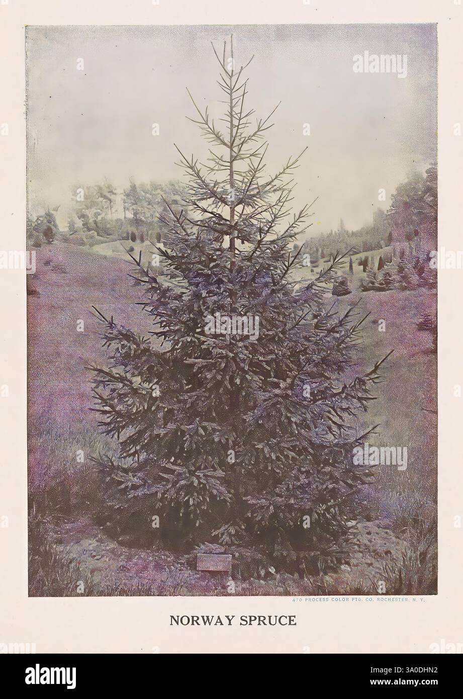 Descriptive plate-book, Newark, N.Y, Knight & Bostwick, [19 ...