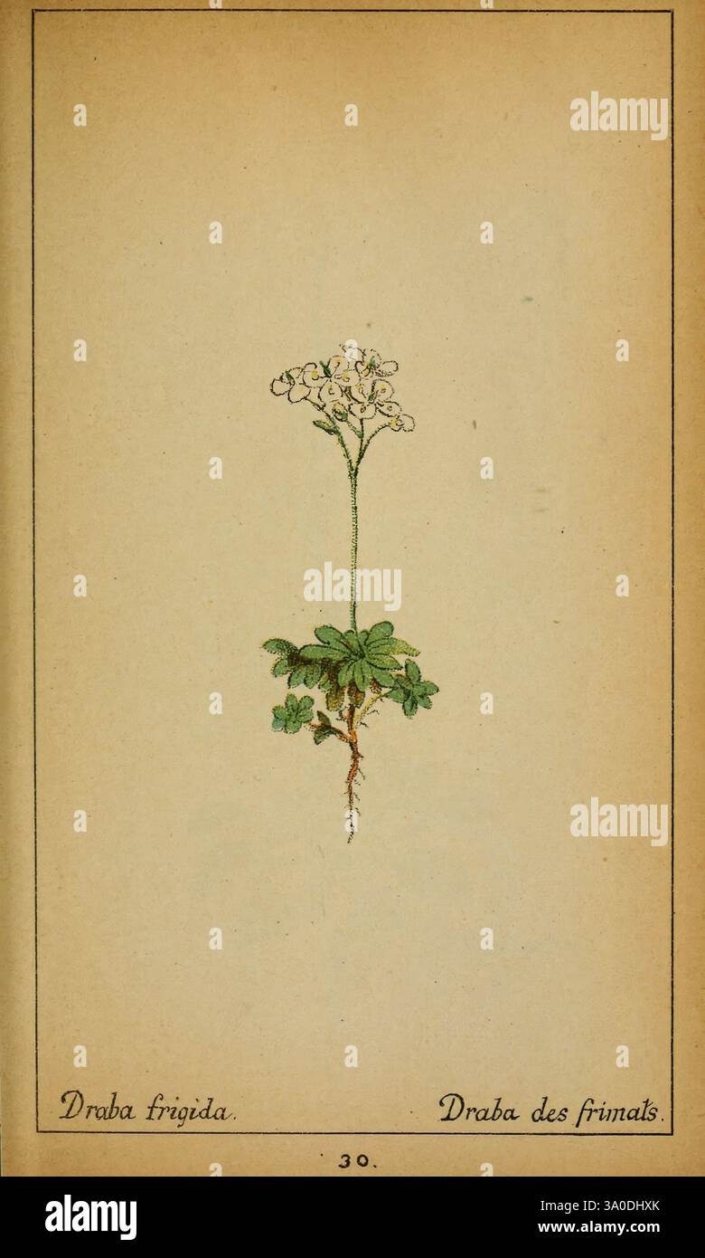 Frimals hi-res stock photography and images - Alamy