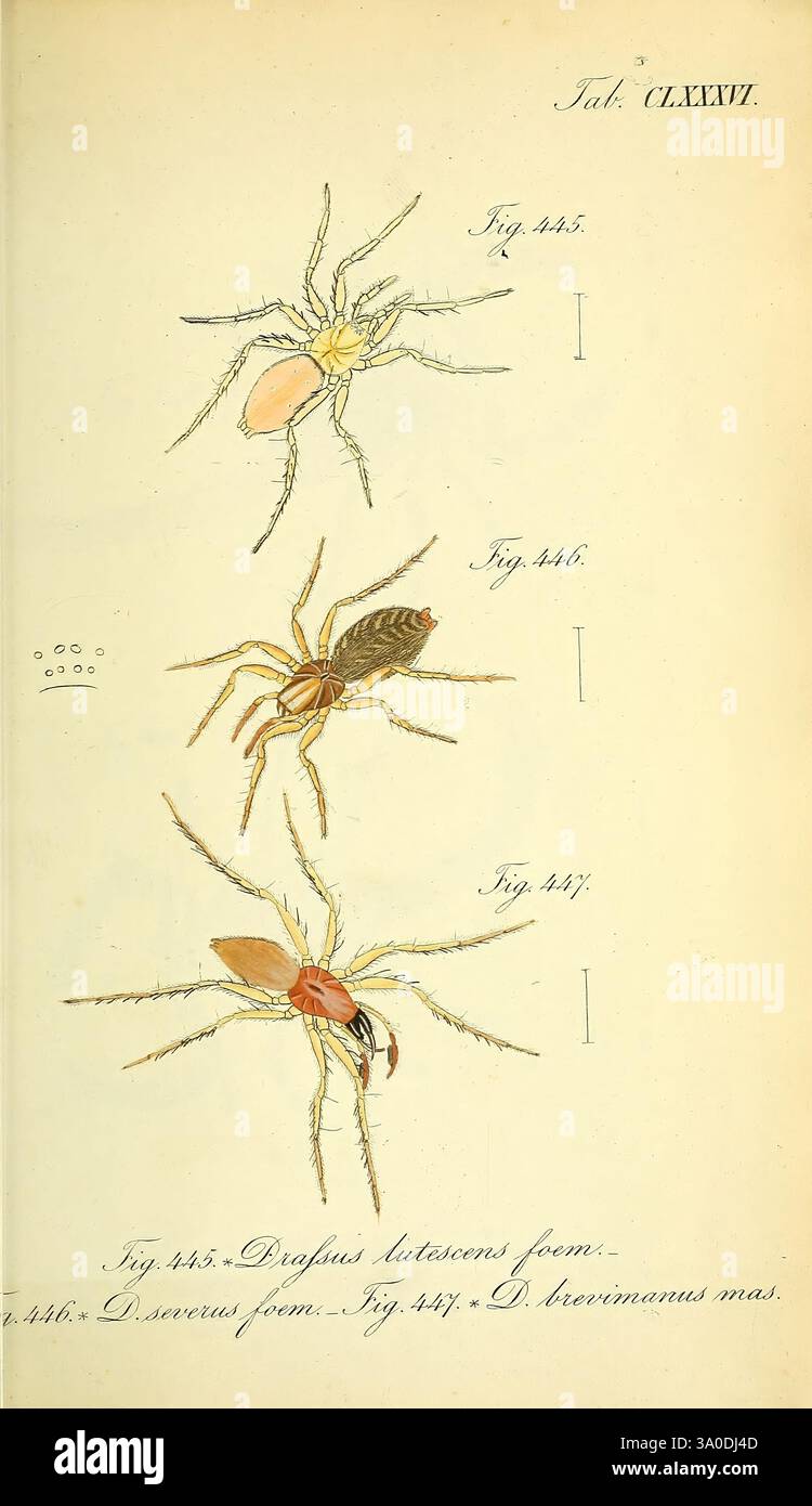 436 features hi-res stock photography and images - Alamy